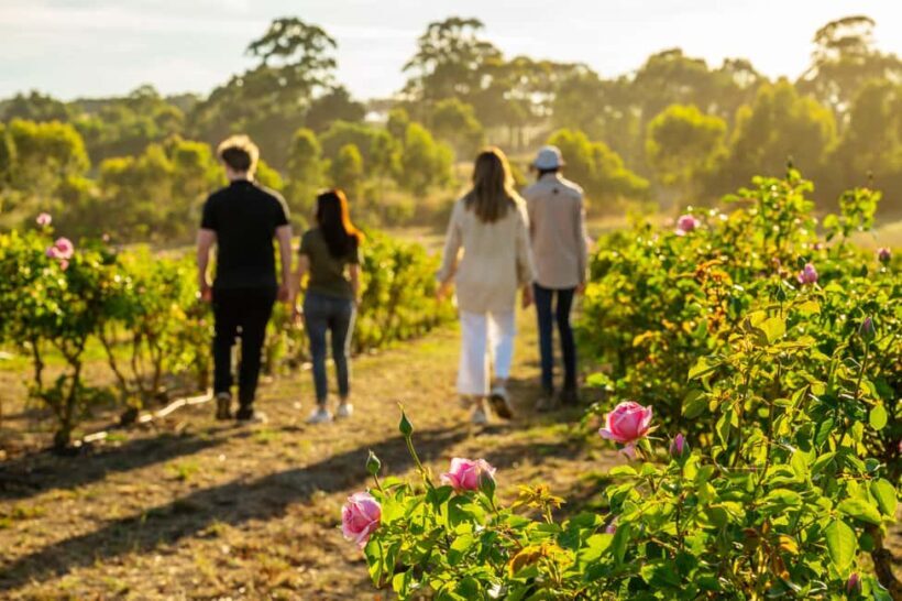 Adelaide Hills: Jurlique Farm Tour - Who Should Consider This Tour?