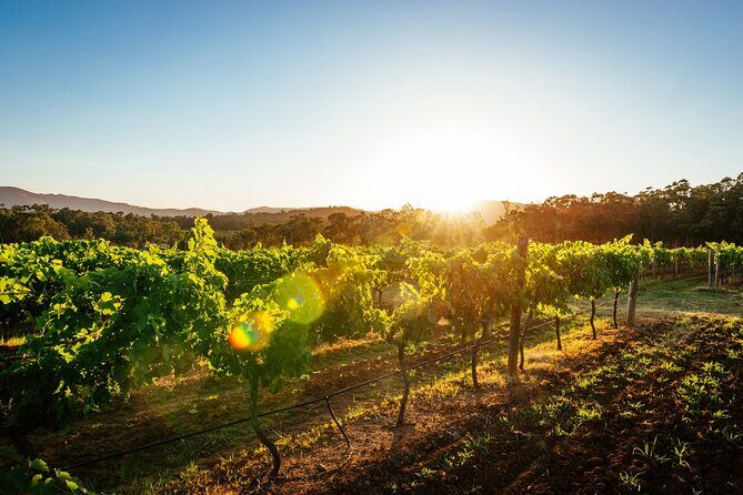Adelaide Hills Luxury Villa & Wine Tour Package - Authenticity and Customer Feedback