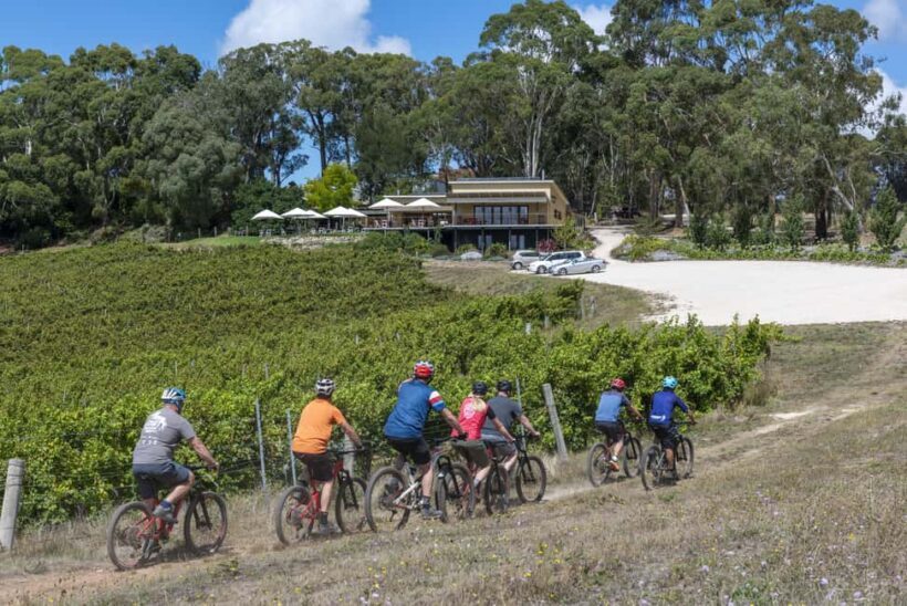 Adelaide Hills: Self-guided E-Bike wine tour with Lunch - Who Will Enjoy This Tour?