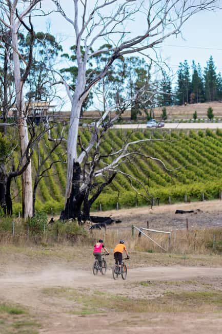 Adelaide Hills: Self-guided E-Bike wine tour with Lunch - Final Thoughts