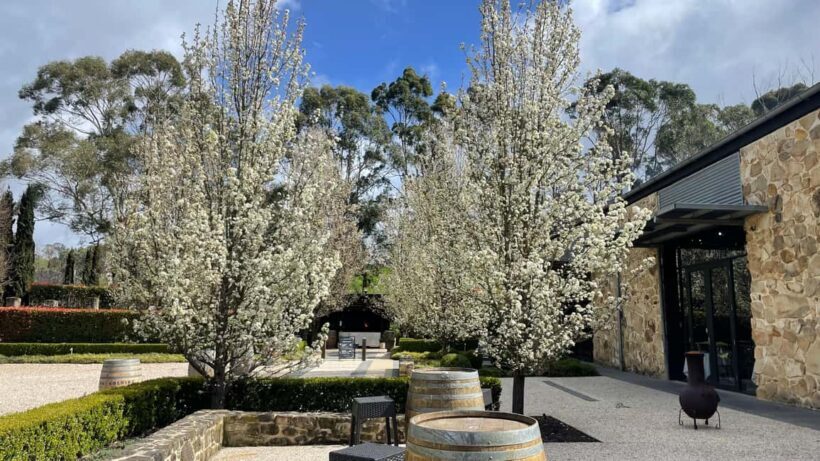 Adelaide Hills Tour - Key Points