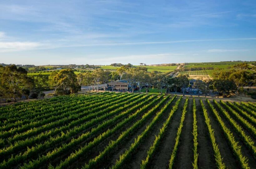 Adelaide: McLaren Vale All-Inclusive Wine and Brew Tour - Pricing and Value