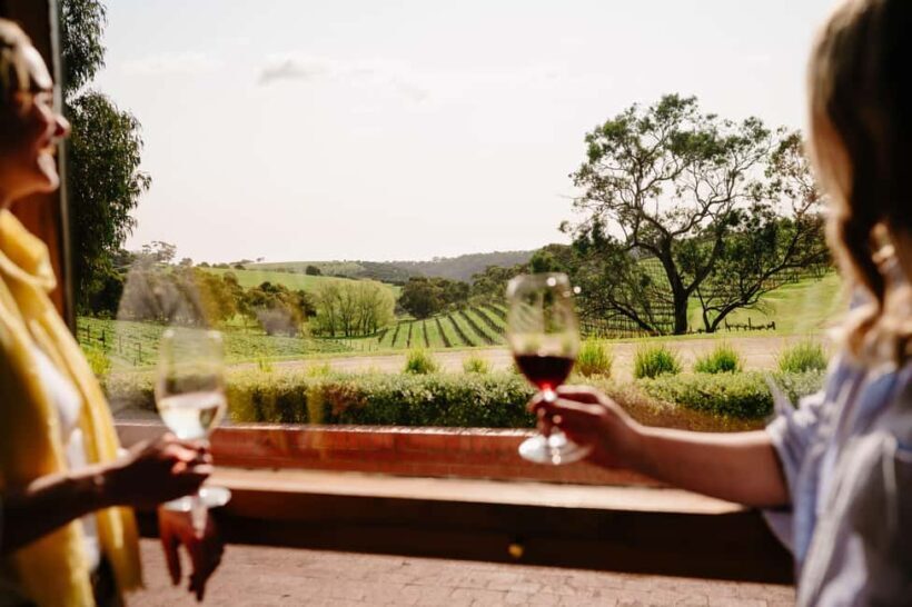 Adelaide: McLaren Vale All-Inclusive Wine and Brew Tour - Practical Tips for Your Day