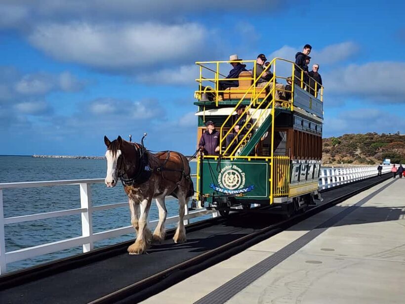 Adelaide: McLaren Vale, Port Elliot & Victor Harbor Tour - What to Expect from This Day Trip