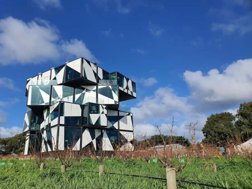 Adelaide: McLaren Vale Private WineTour+Your Chosen Tastings - Discovering McLaren Vale: What to Expect