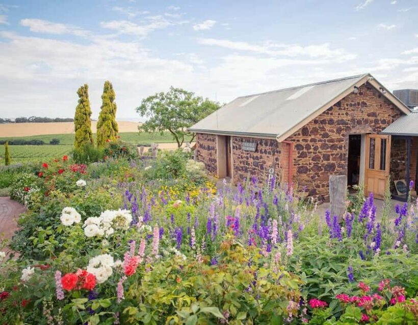Adelaide: McLaren Vale Private WineTour+Your Chosen Tastings - Authentic Experiences and Authentic Wines