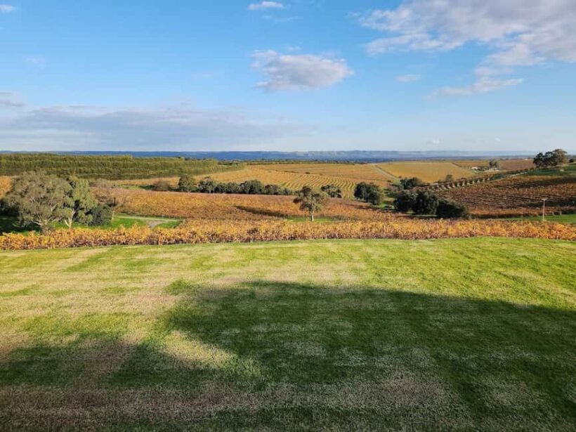 Adelaide: McLaren Vale Private WineTour+Your Chosen Tastings - The Sum Up