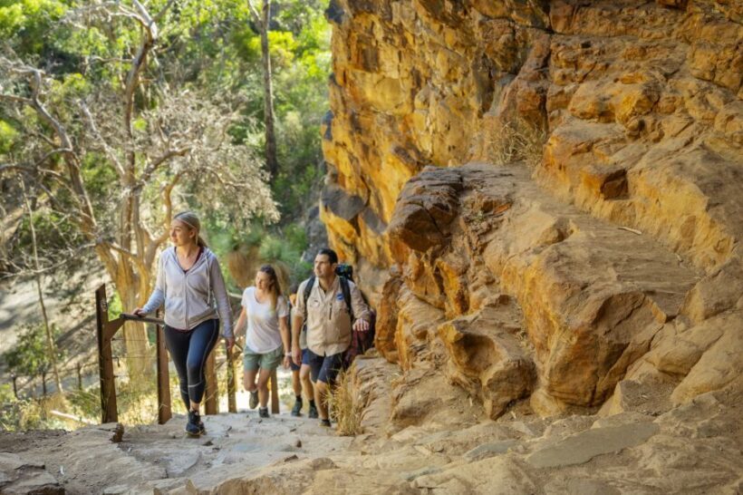 Adelaide: Morialta Wilderness and Wildlife Hike - A Closer Look at the Morialta Hike Experience