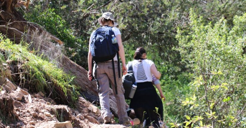 Adelaide: Morialta Wilderness and Wildlife Hike - Final Thoughts: The Value of a Natural Encounter