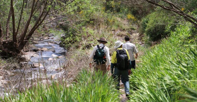 Adelaide: Morialta Wilderness and Wildlife Hike - FAQ