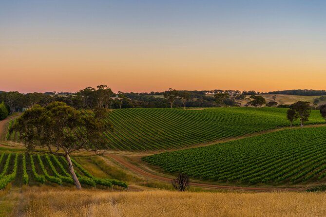 Adelaide Private Airport and City Transfer - Who Would Benefit Most?