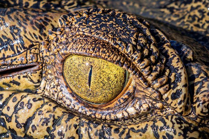 Adelaide River Cruises - Jumping Crocodile Experience - Frequently Asked Questions