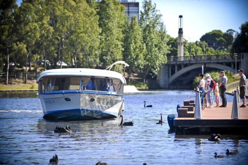 Adelaide: River Torrens Popeye Devonshire Tea Cruise - Exploring the Itinerary and What You Can Expect