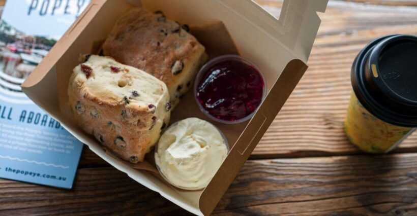 Adelaide: River Torrens Popeye Devonshire Tea Cruise - Practical Details and Insights