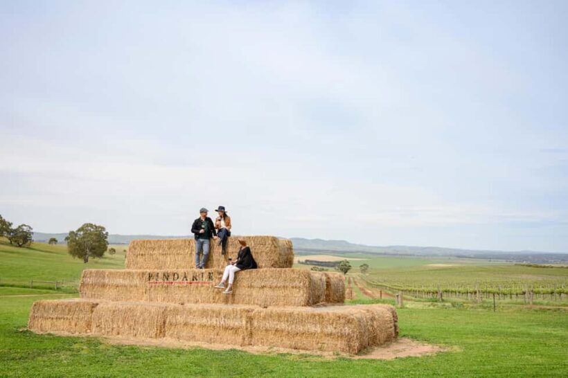 Adelaide: Small Group Tour of Barossa, Wineries with Lunch - Key Points