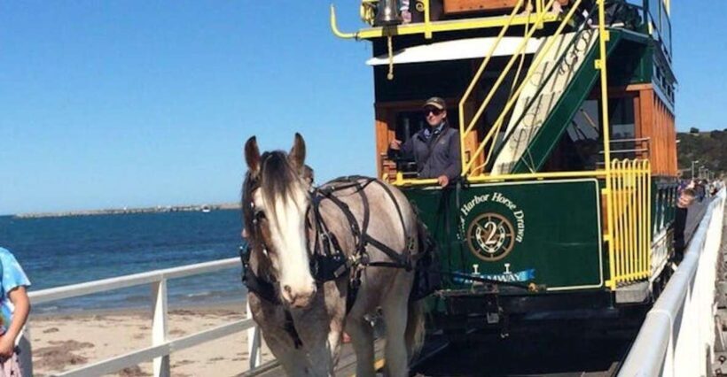Adelaide: South Australia Guided Full-Day Highlights Tour - The Transportation and Group Size