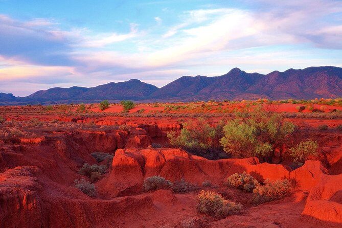 Adelaide to Coober Pedy 7-Day Small Group 4WD Eco Safari - Why Travelers Love This Tour