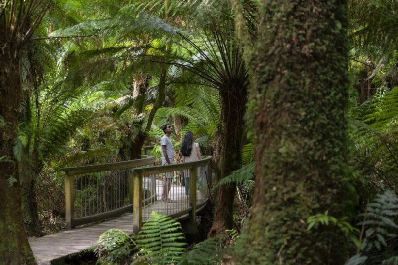 Adelaide to Melbourne: 3-Day Ultimate Overland Journey - Accommodation and Meals