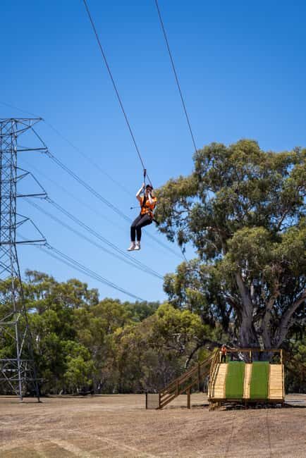 Adelaide: TreeClimb Adventure - The Practicalities: What You Need to Know