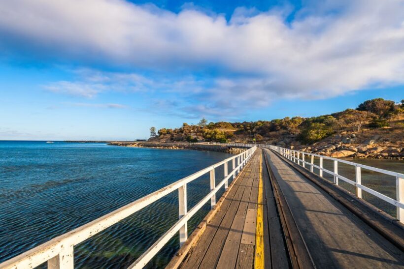 Adelaide: Wine and Wildlife 4WD Tour - The Heart of the Tour: A Detailed Breakdown