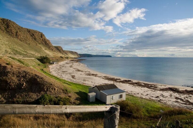 Adelaide: Wine and Wildlife 4WD Tour - Why Travelers Love This Tour