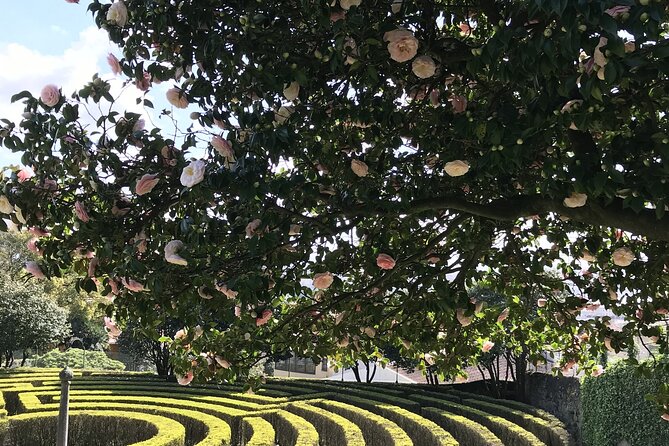 Admission Ticket to Casa São Roque Art Center - Ticket Details