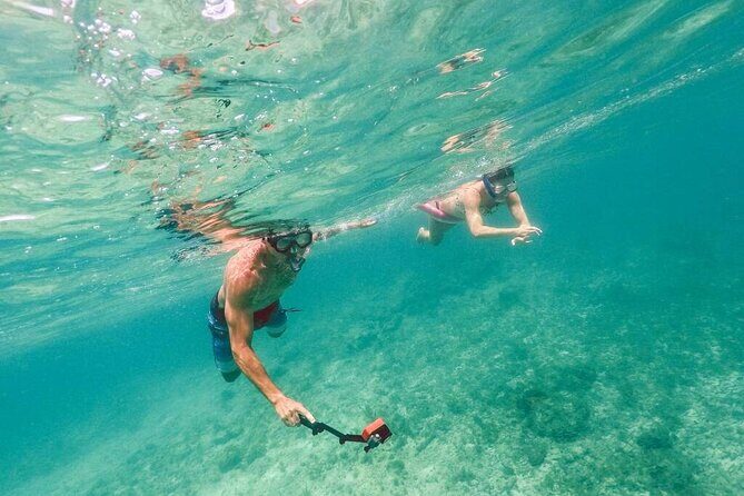 Admission Ticket to Coral World & Coki Point Beach with Snorkeling - Navigating the Experience: What You’ll Actually Do
