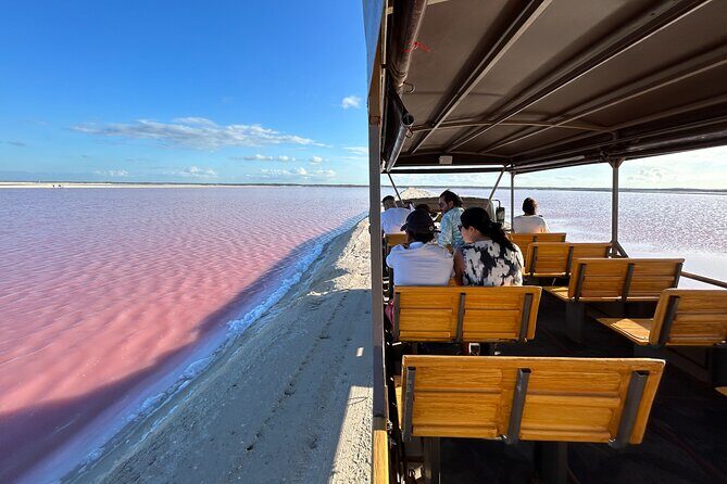 Admission Ticket to Safari in the Pink Lagoons of Las Coloradas - Exploring the Itinerary in Detail