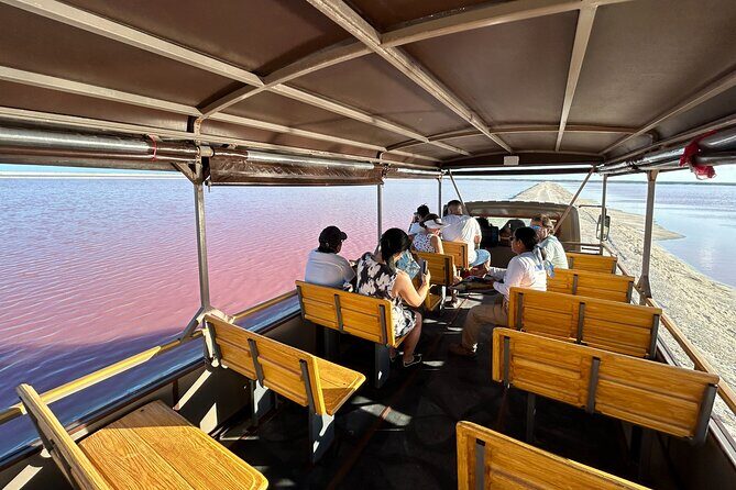 Admission Ticket to Safari in the Pink Lagoons of Las Coloradas - Analyzing the Value