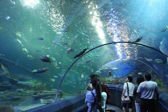 Admission Ticket to Underwater World Pattaya with Return Transfer - Summary: Who Should Consider This Tour?