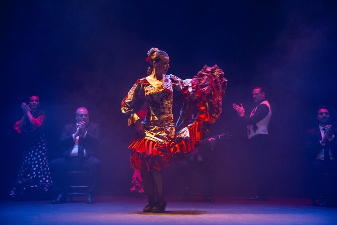 Admission to Flamenco Show Passion - Accessibility and Participation