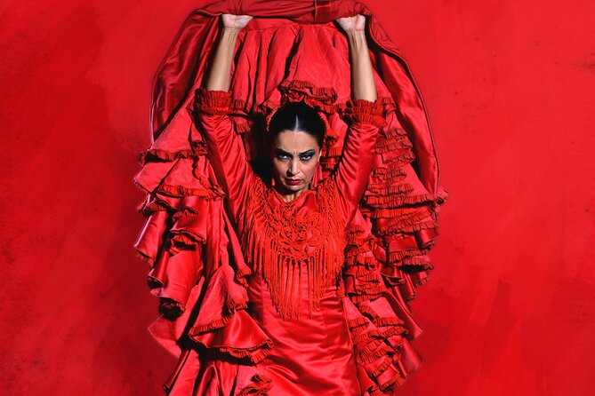 Admission to Flamenco Show Passion - Varying Opinions