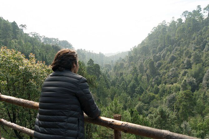 Admission to the Alpinia Nature and Adventure Park - The Sum Up