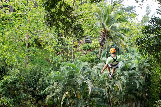 Adrena-Line Zipline, St. Lucia - FAQ