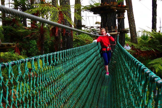 Adrenalin Forest Auckland - What to Expect at Adrenalin Forest Auckland
