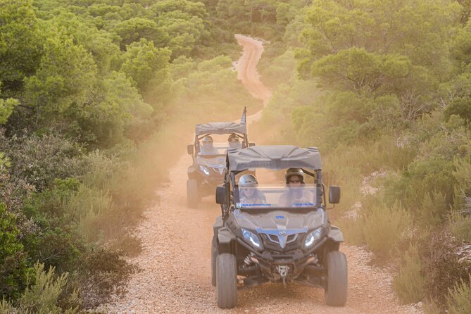 Adrenaline Quad Safari Tour - Authentic Experiences and Traveler Insights