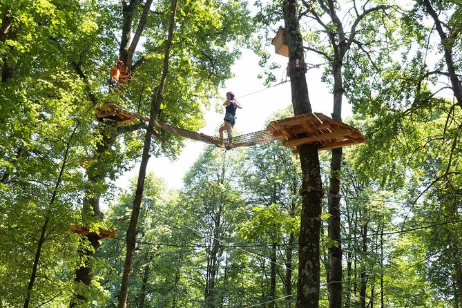 Adult Daily Ticket for Adventure Park in Gravedona - Accessibility Features