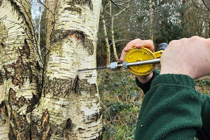 Adult Foraging Walk & Bushcraft Cookery Course for Beginners - Key Points