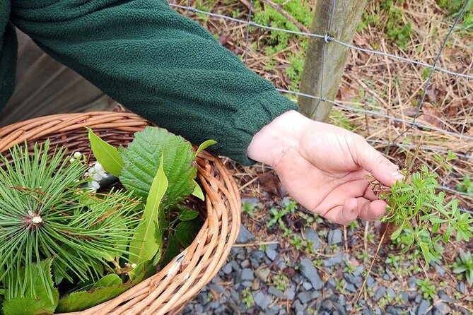 Adult Foraging Walk & Bushcraft Cookery Course for Beginners - The Sum Up