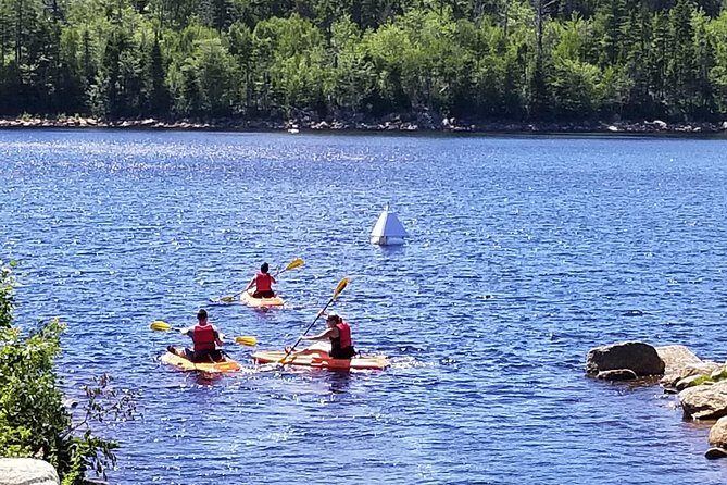 Adult Single Kayak Rental - Why Choose the Halifax Kayak Rental?