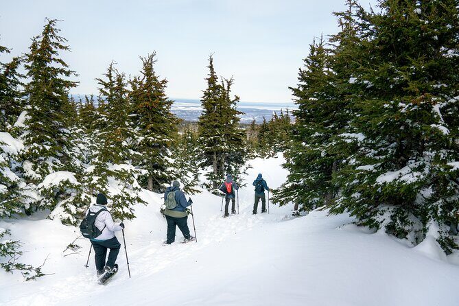 Advanced Snowshoeing Adventure - A Deep Dive Into the Tour Experience