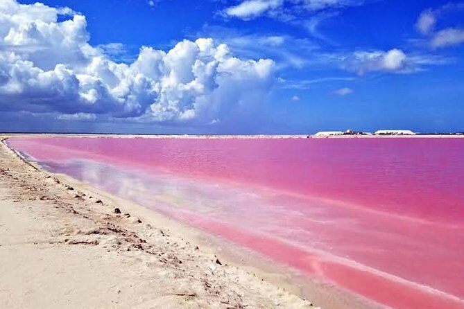 Adventour Day: Coloradas and Rio Lagartos Excursion from Cancun! - Detailed Breakdown of the Itinerary