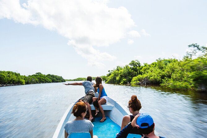 Adventour Day: Coloradas and Rio Lagartos Excursion from Cancun! - The Practicalities: What to Know Before You Go