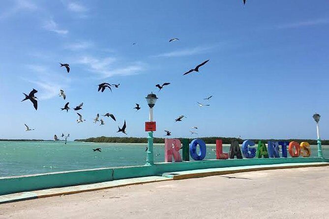 Adventour Day: Coloradas and Rio Lagartos Excursion from Cancun! - Who Should Consider This Tour?