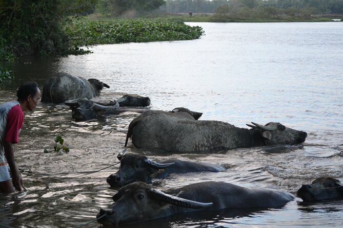 Adventure Bike Tour from Hoi An - Who Is This Tour Best For?