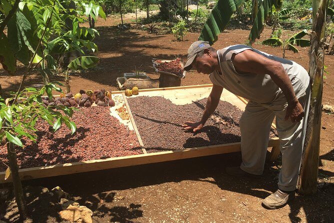 Adventure Buggy & ATV Extremes Macao Beach, Punta Cana. - Frequently Asked Questions (FAQs)