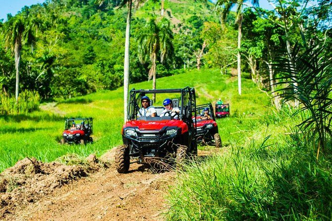 Adventure Bundle: Monkeyland, Ziplines & Buggies Punta Cana - Authentic Experiences and Honest Feedback from Travelers