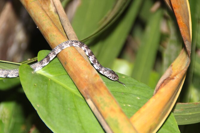 Adventure Canoe Tour in Tortuguero - Customer Reviews