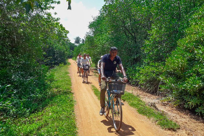 Adventure Cycling from Galle - A Practical Guide to the Adventure Cycling Tour from Galle