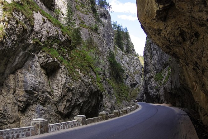 Adventure Day Trip From Iasi | Hiking in the Carpathian Mountains - Difficulty Levels and Route Options